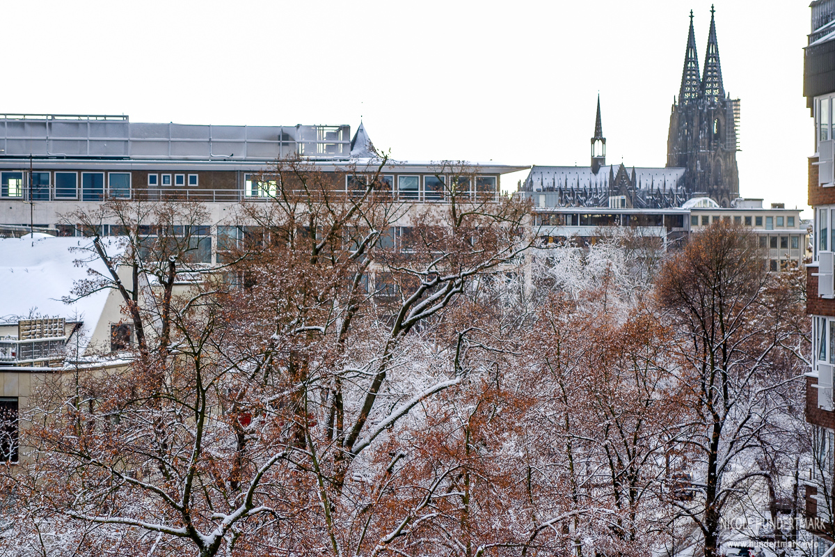 Schnee in Köln | Hundertmark